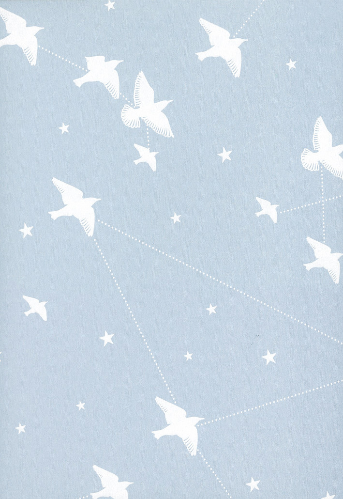 Star-ling Powder Blue AZDPT029PB - Star-ling - BOOK 3 - Mini Moderns ...