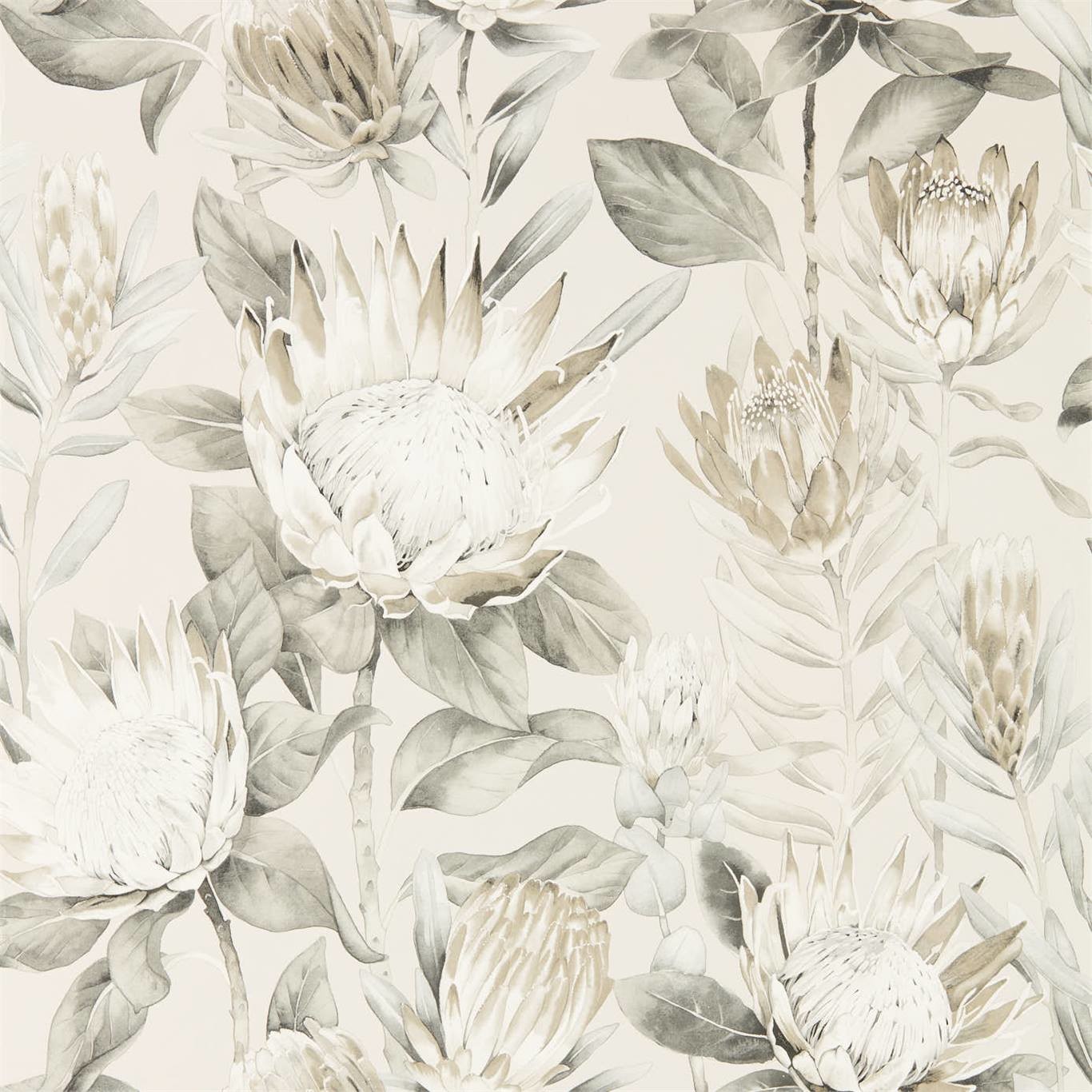 King Protea Linen/Mica 216647 - King Protea - The Glasshouse ...